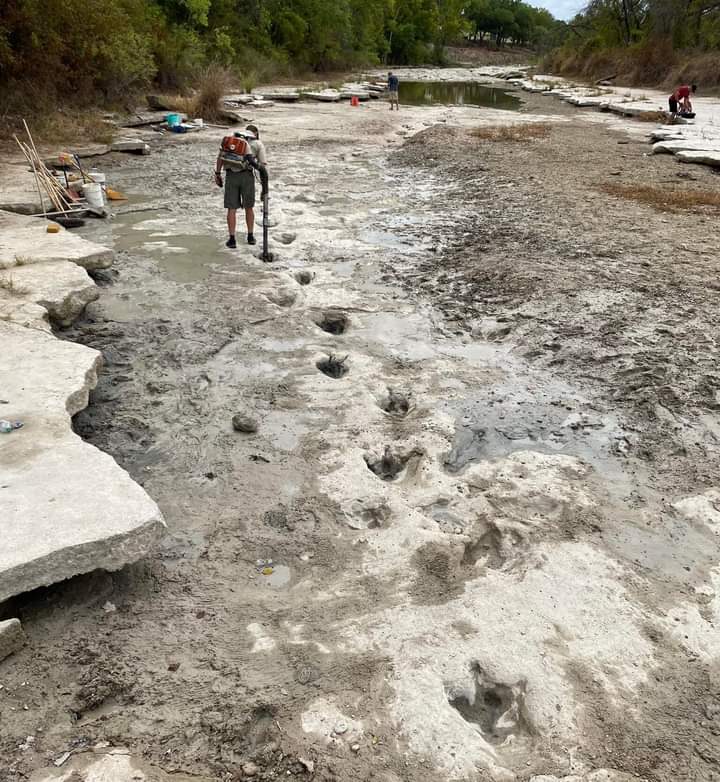 Viral Tapak Kaki Dinosaur Berusia 113 Juta Tahun Ditemui Selepas Air