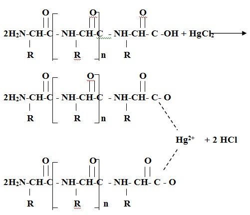 Laporan Biokimia