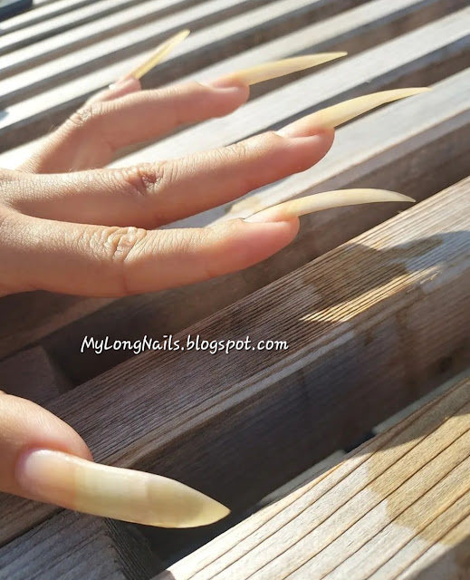 Long Nails Hebzys Super Sexy Natural Long Nails 2