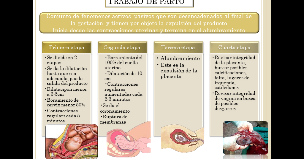 Blog De Evidencias De Fiosiologia Medica De Enoc Simons Trabajo De