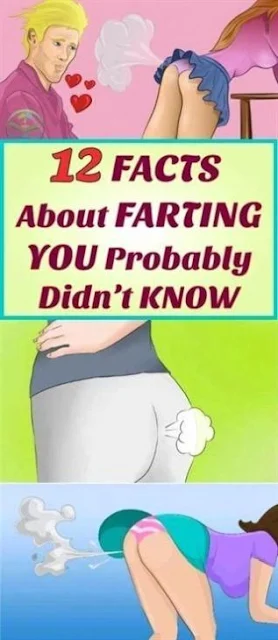 12 Facts About Farting You Probably Didnt Know Healthy Lifestyle