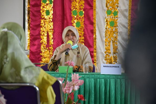 Program Cemil Cegah Stunting Dan Anemia Pada Ibu Hamil Di Kota Padang