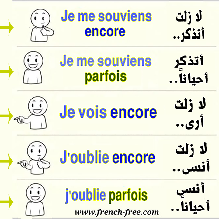 S2 الدرس 47 تعلم اللغة الفرنسية يومياً بسرعة 5 جمل هامة في دقيقتين