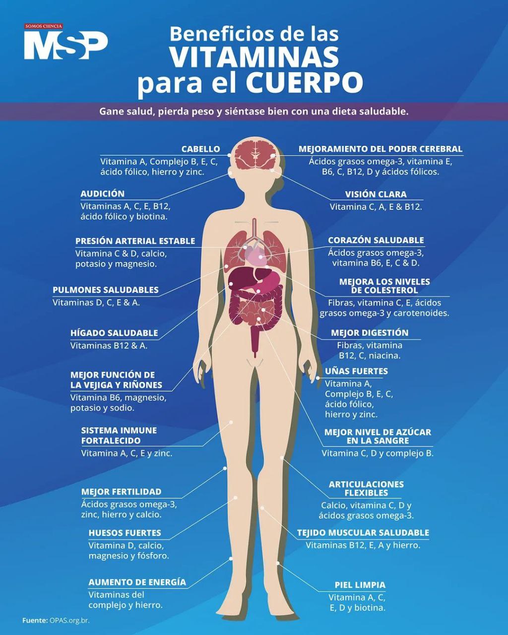 Beneficios De Las Vitaminas Para El Cuerpo Infografia By Msp Med Tac