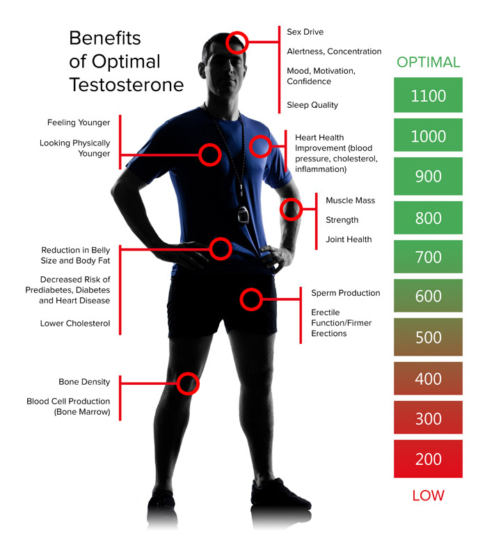 How Sex Affects Your Bodybuilding Gains