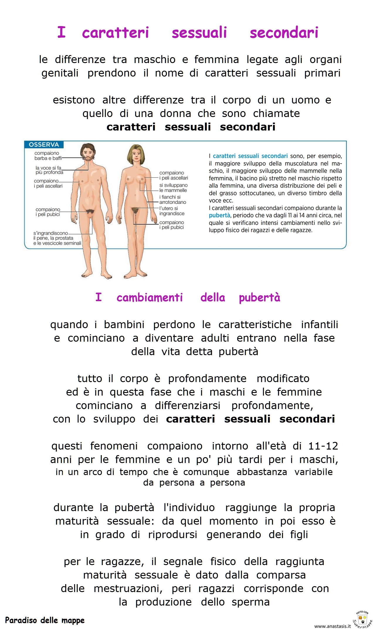 Paradiso Delle Mappe I Caratteri Sessuali Secondari