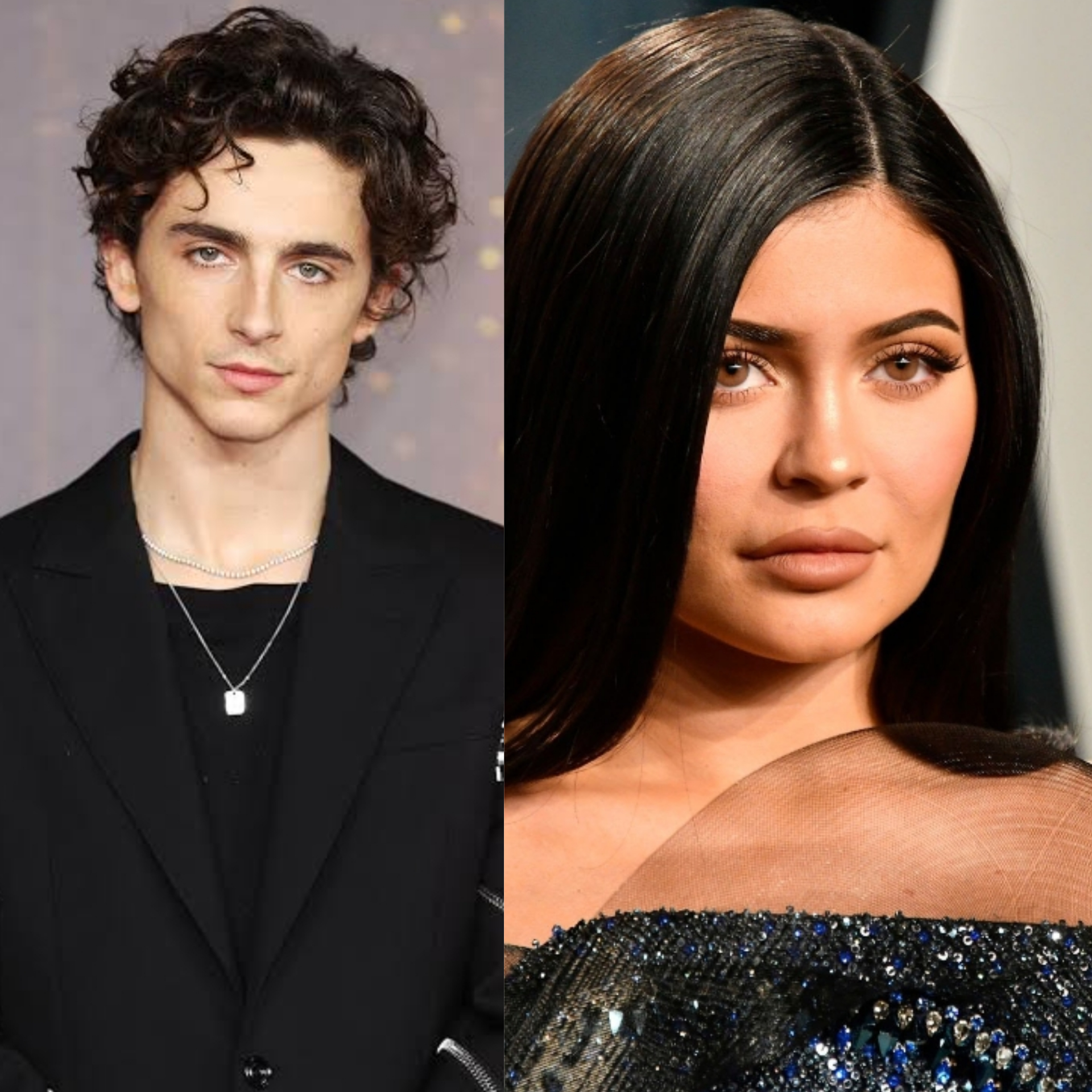 Kylie Jenner And Timothée Chalamet Confirmed Their Relationship In