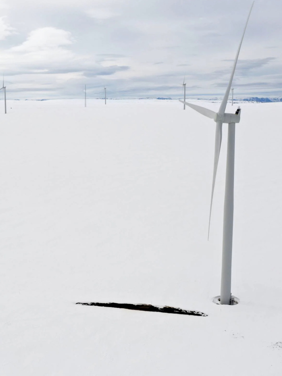 Vindkraft Og Naturtap