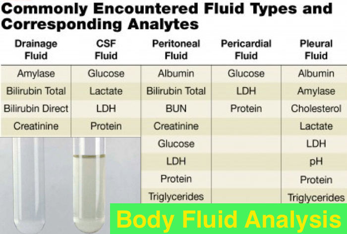 Source Medlabmag