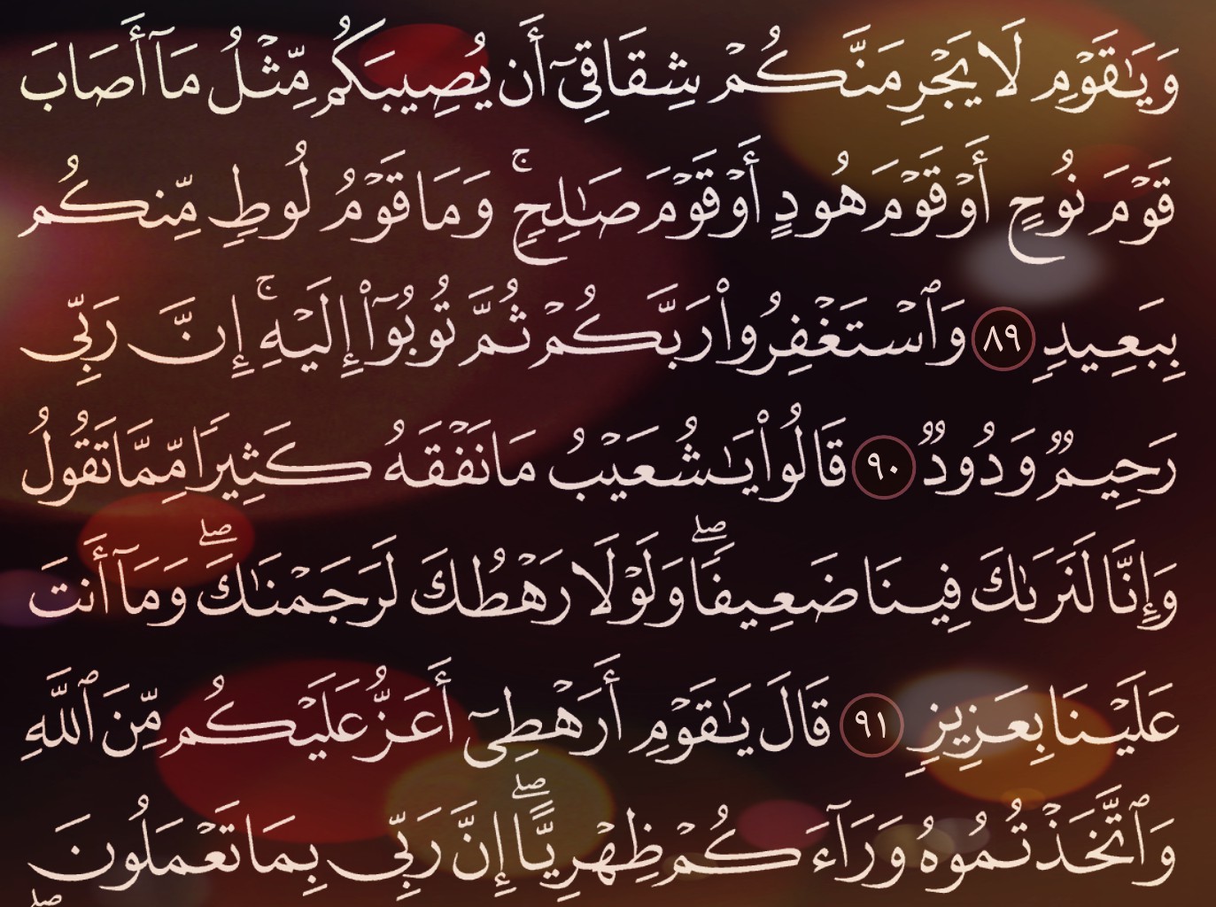 شرح وتفسير سورة هود Surah Hud من الآية 89 إلى الاية 102 معاني الأسماء