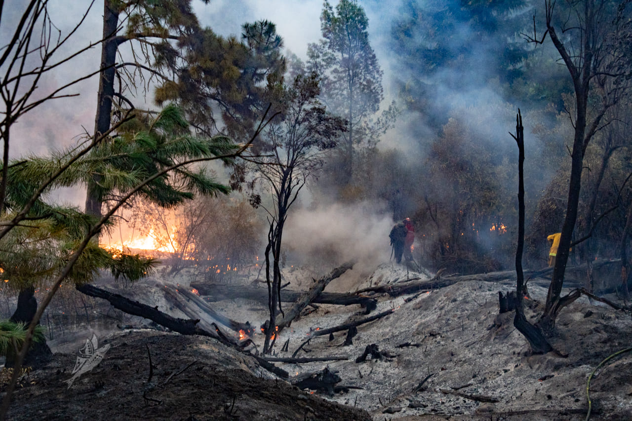 Mejoran Las Condiciones Climáticas Para Combatir El Incendio En El Bolsón