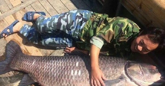 International Fishing News China Caught A Monster 198 Pound Black Carp