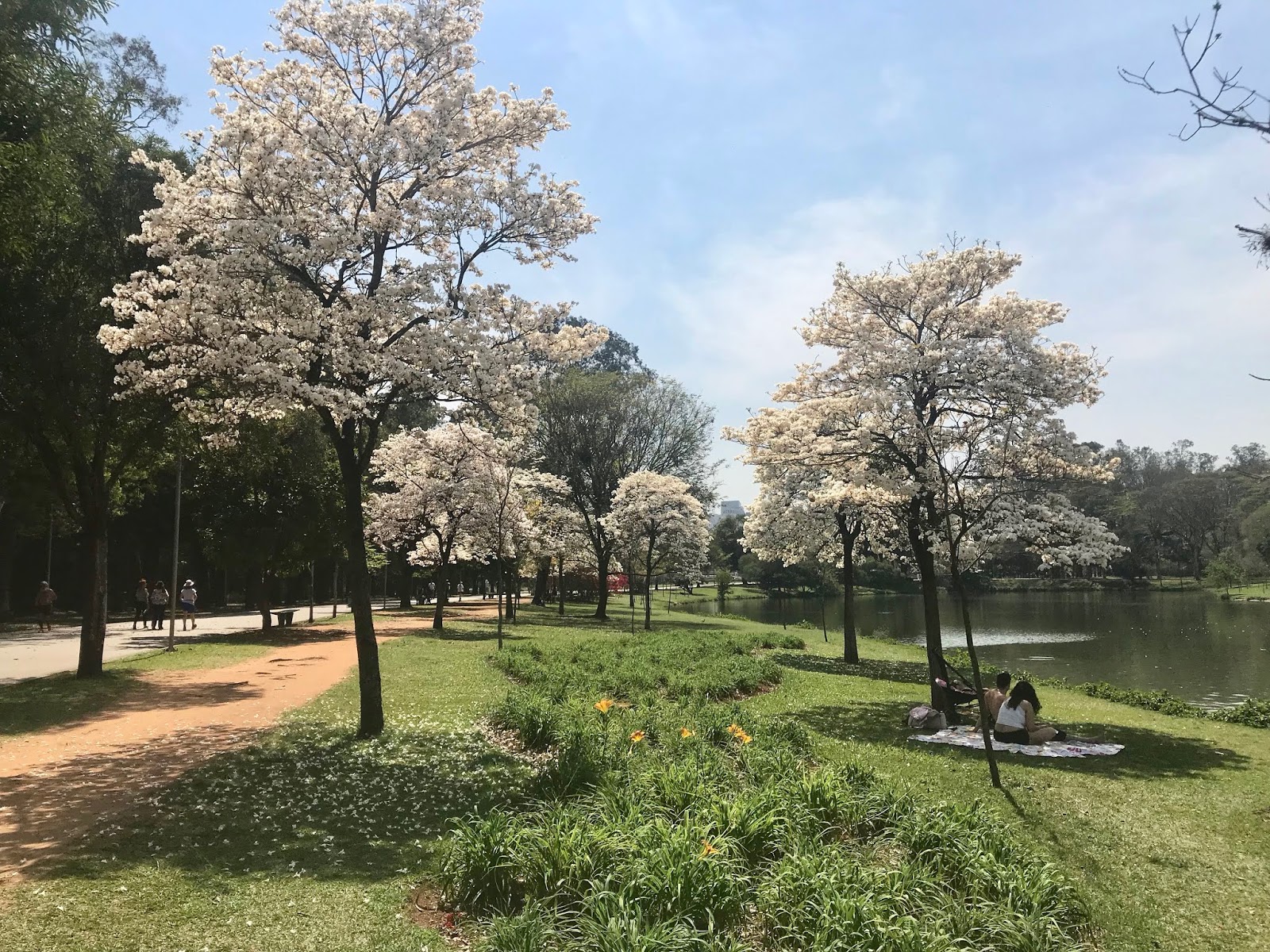 Os 10 Melhores Parques De São Paulo Classificação Do Site Áreas