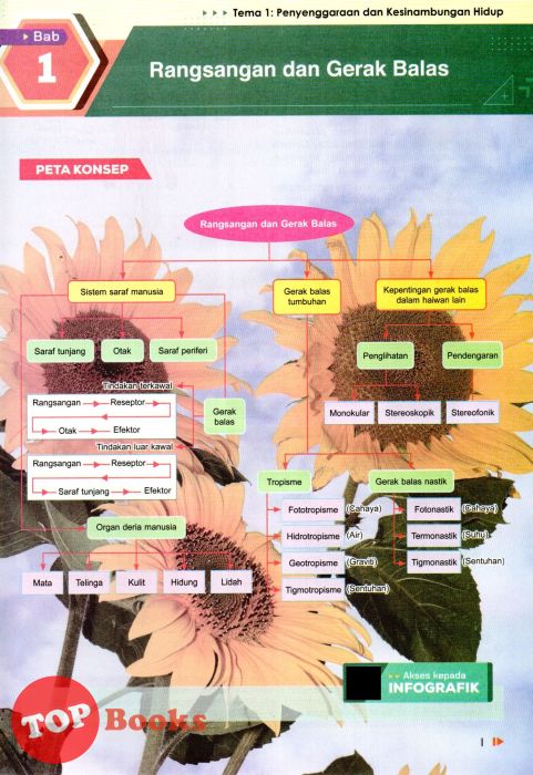 Topbooks Pelangi Focus Sains Tingkatan 3 Kssm 2023