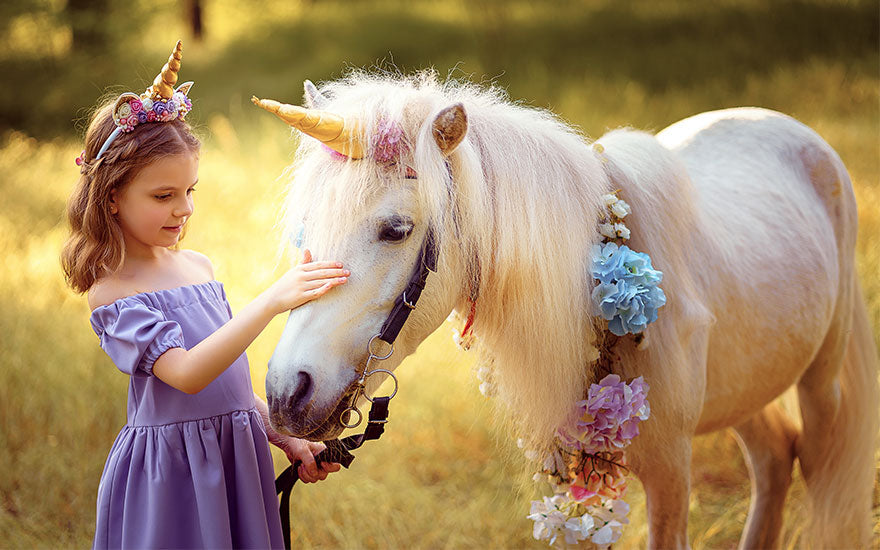 La Increíble Leyenda Del Unicornio Atrapasueñosonline