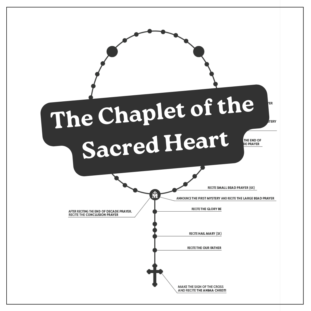 Chaplet Of The Sacred Heart Of Jesus How To Pray Guide And Pdf