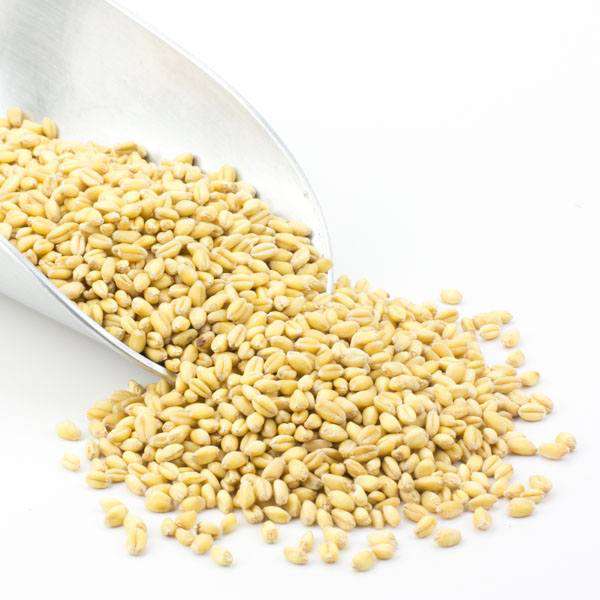 Organic Wheat Berries Soft White Country Life Natural Foods