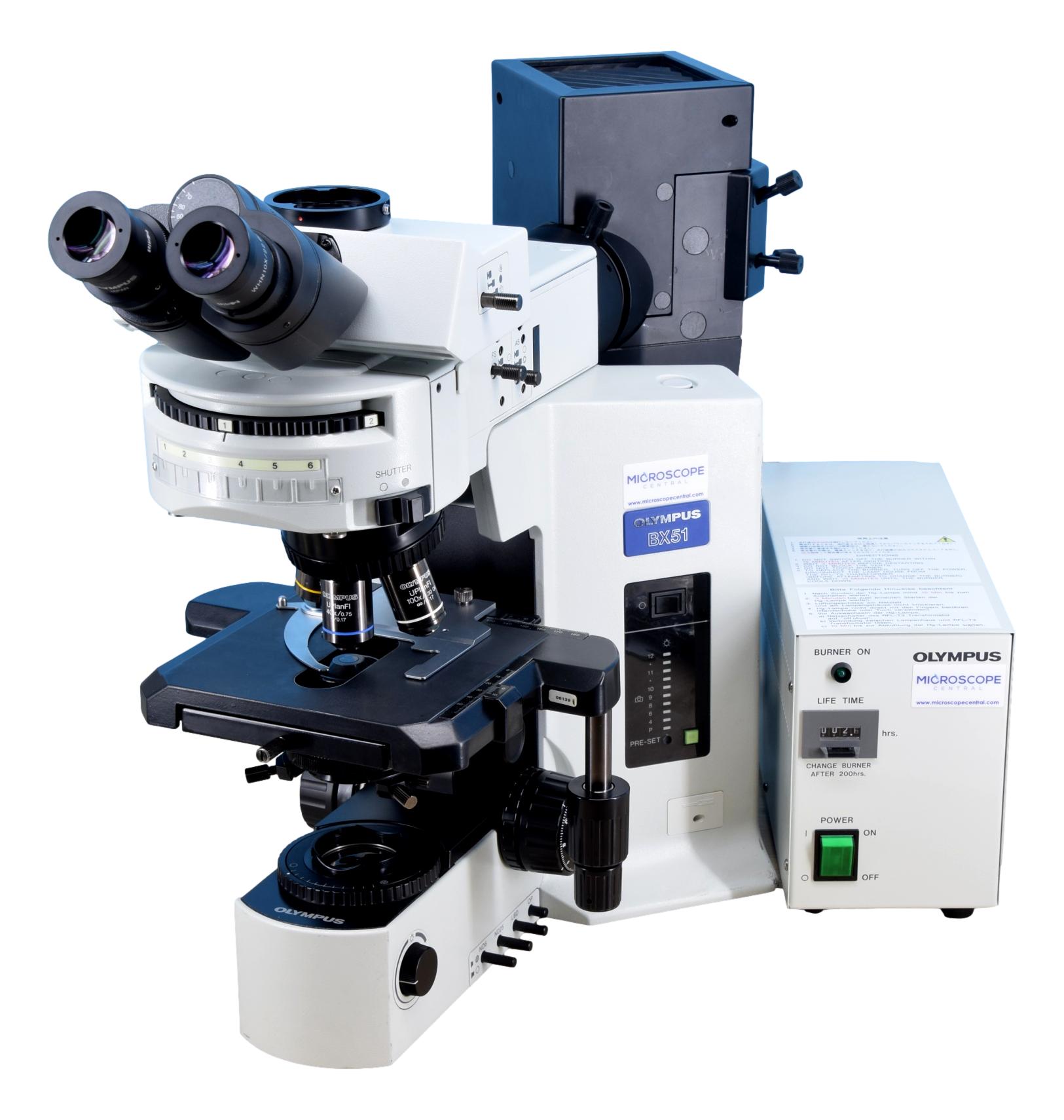 Fluorescence Microscopy