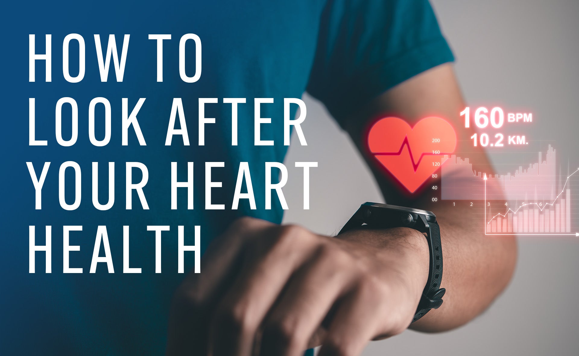 How To Look After Your Heart Health Applied Nutrition Ltd