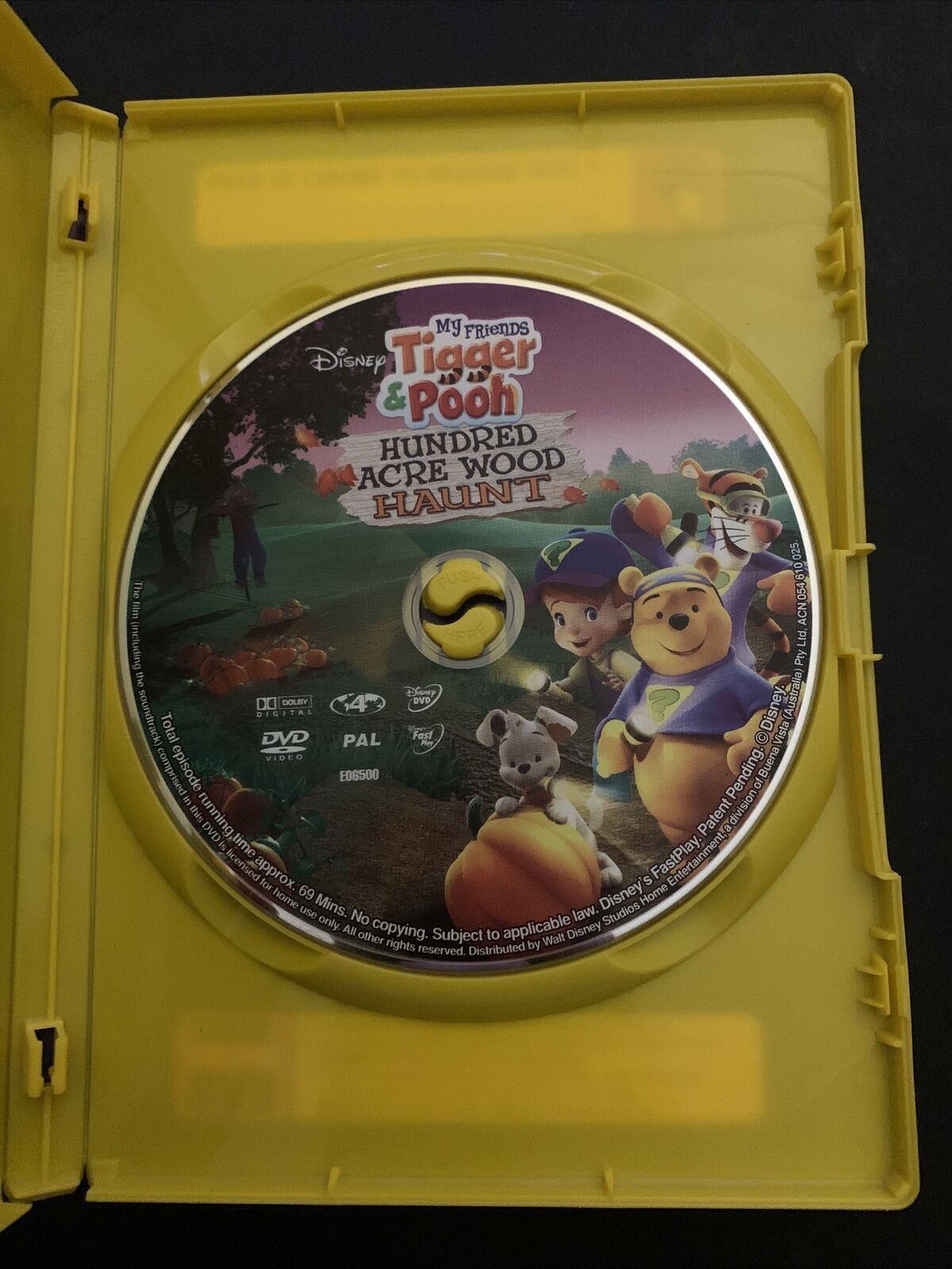 My Friends Tigger And Pooh Hundred Acre Wood Haunt Dvd 2008 Region