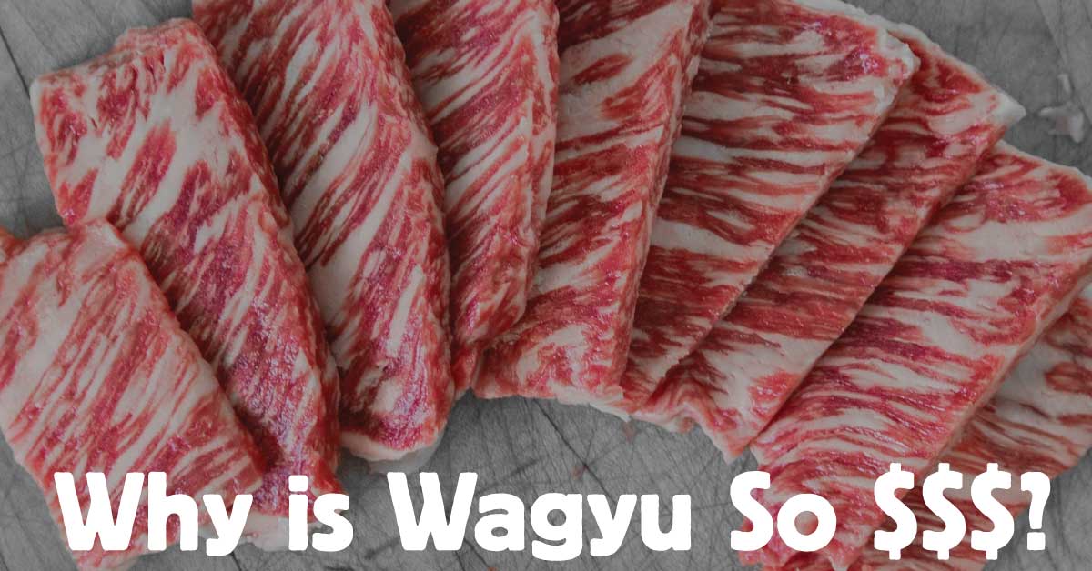 Why Is Wagyu Beef So Expensive