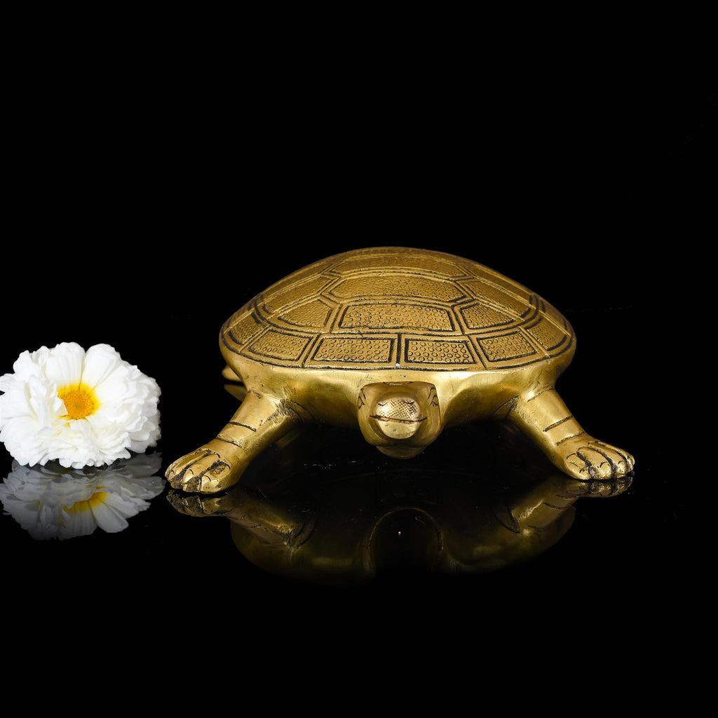 Brass Tortoise Figruines Vastufeng Shui Vedansh Craft