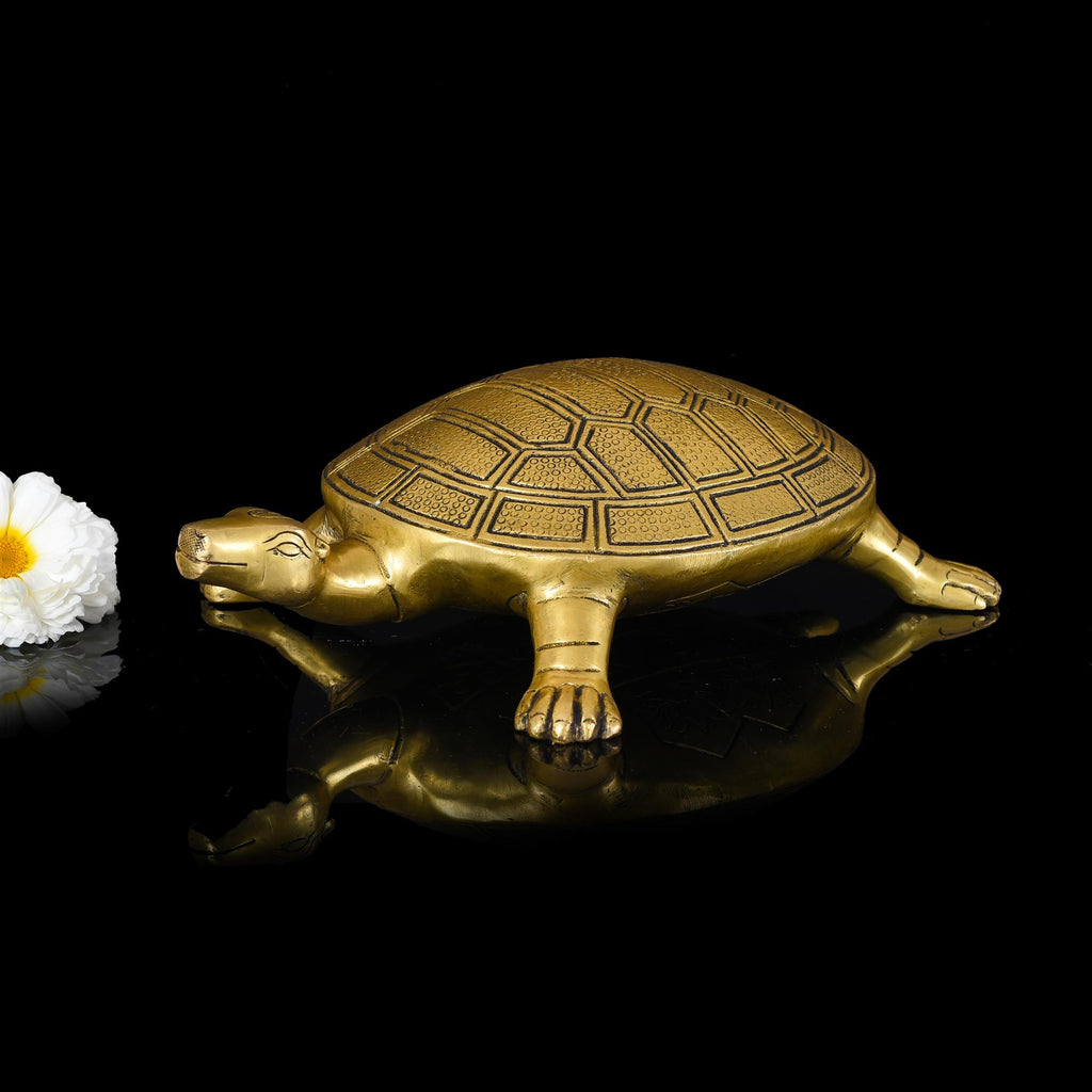 Brass Tortoise Figruines Vastufeng Shui Vedansh Craft