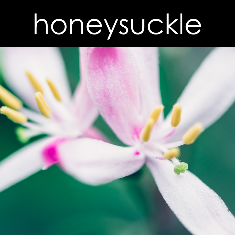 Honeysuckle Scents By Design Candle Bar