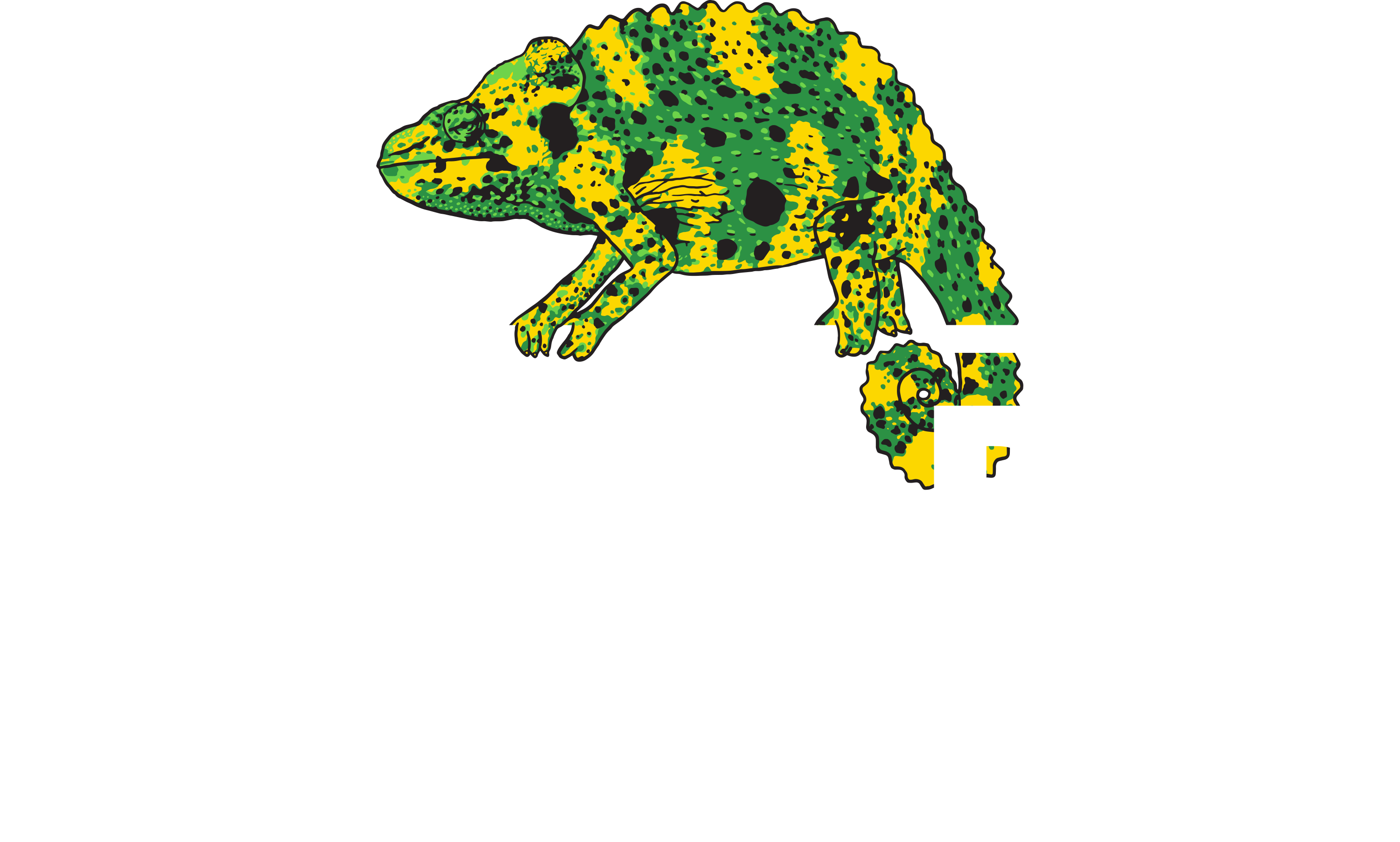 Custom Enclosures Tamura Designs