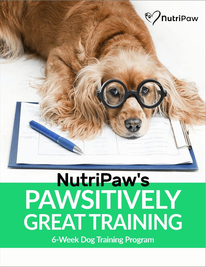 Calming Natural Treats For Dogs Stress And Anxiety Nutripaw