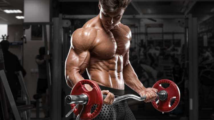 7 Muscle Building Supplements That Work Like Steroids