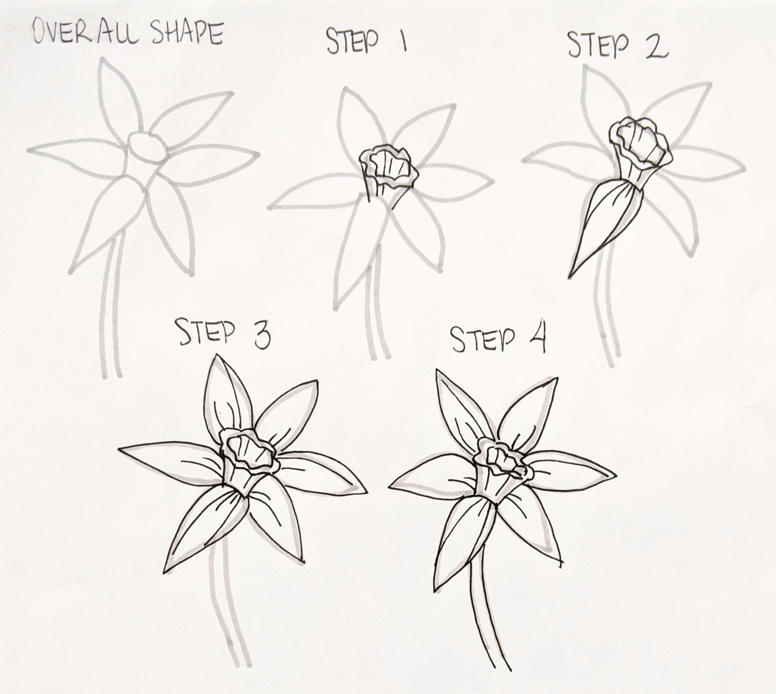 How To Draw A Flower Step By Step With Pictures