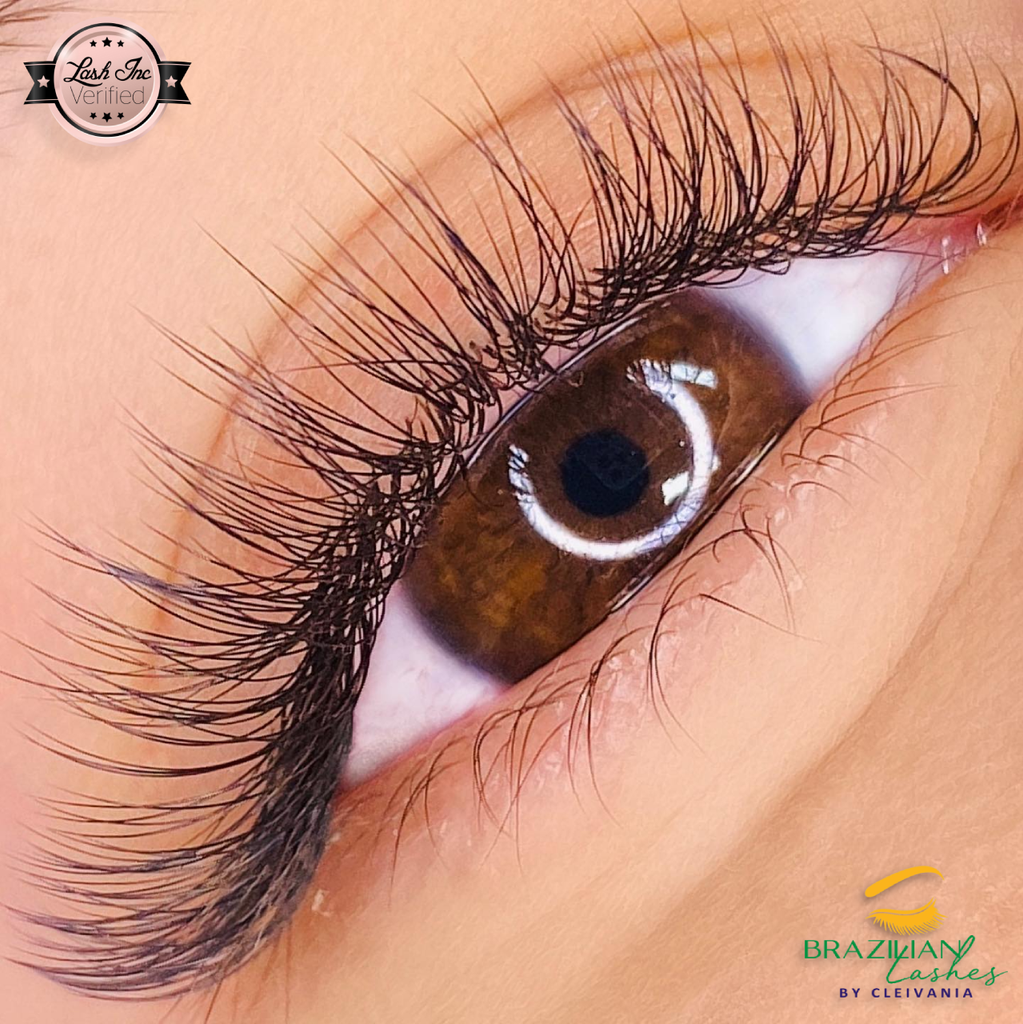 Curso Pestañas Clásicas Pelo A Pelo Brazilian Lashes