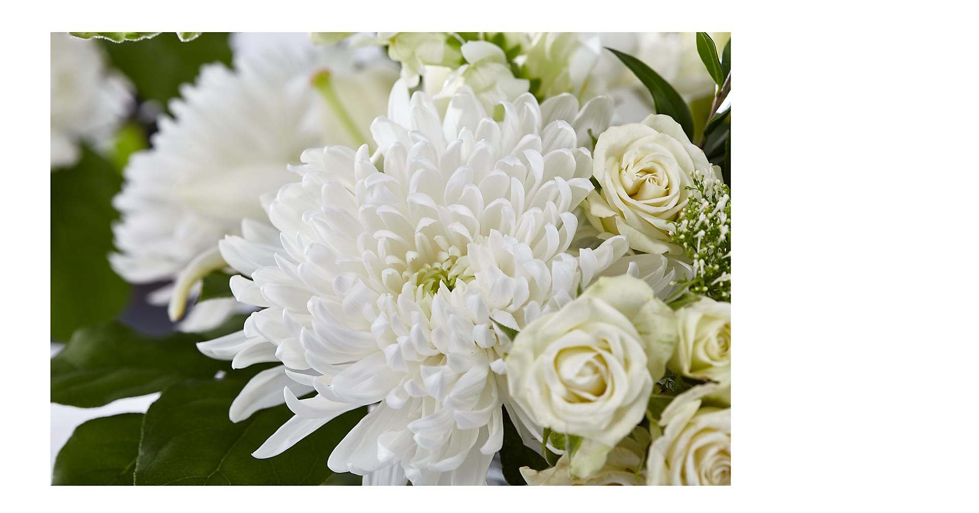 Classic Ivory A Florist Original