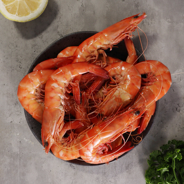 Jumbo Australian U10 Cooked King Prawns Frozen Per Kg Fishme