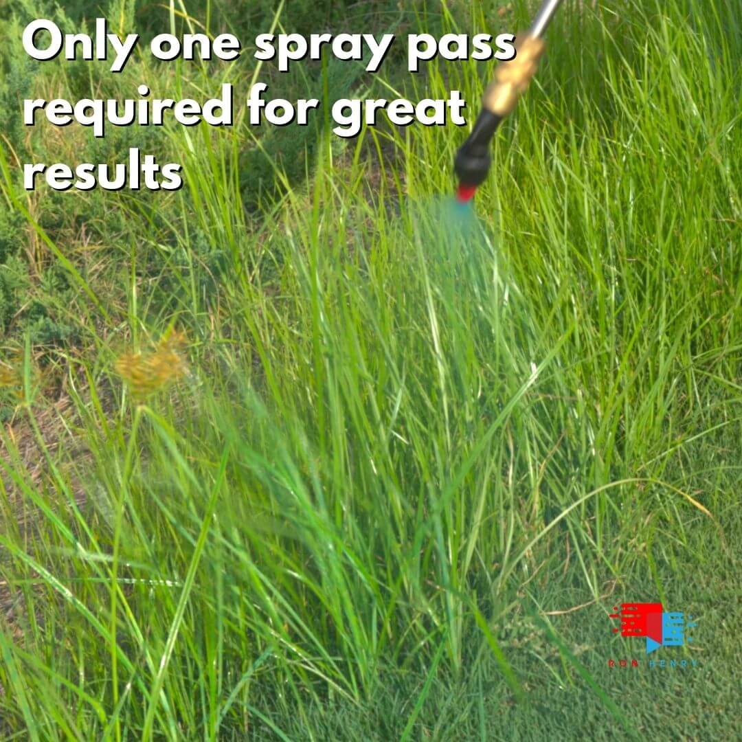 Broadleaf And Grassy Weed Control For Warm Season Grass