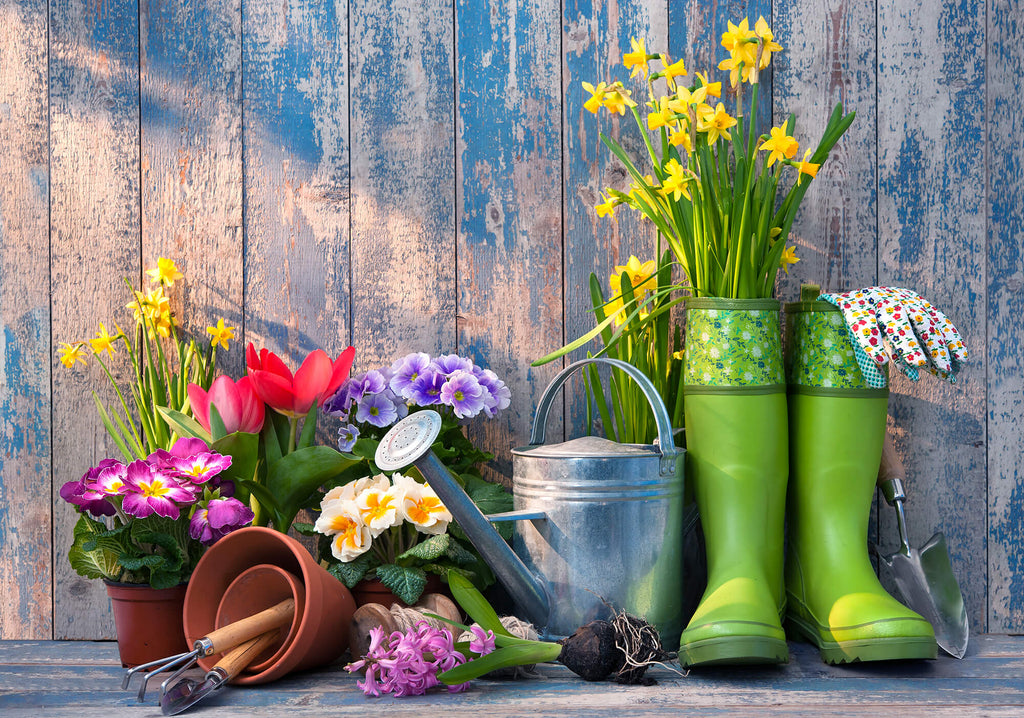 Get Your Yard Spring Ready With These Seven Simple Steps Vanderwees