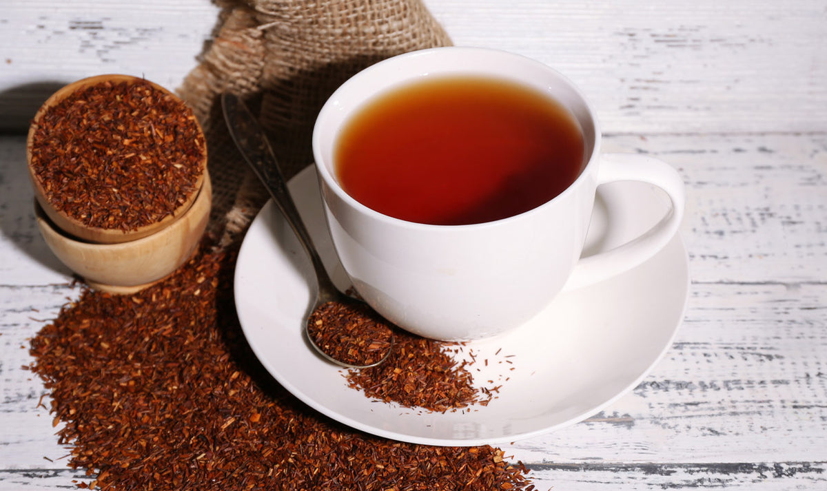 Redbush Rooibos African Red Tea Explained Twinings