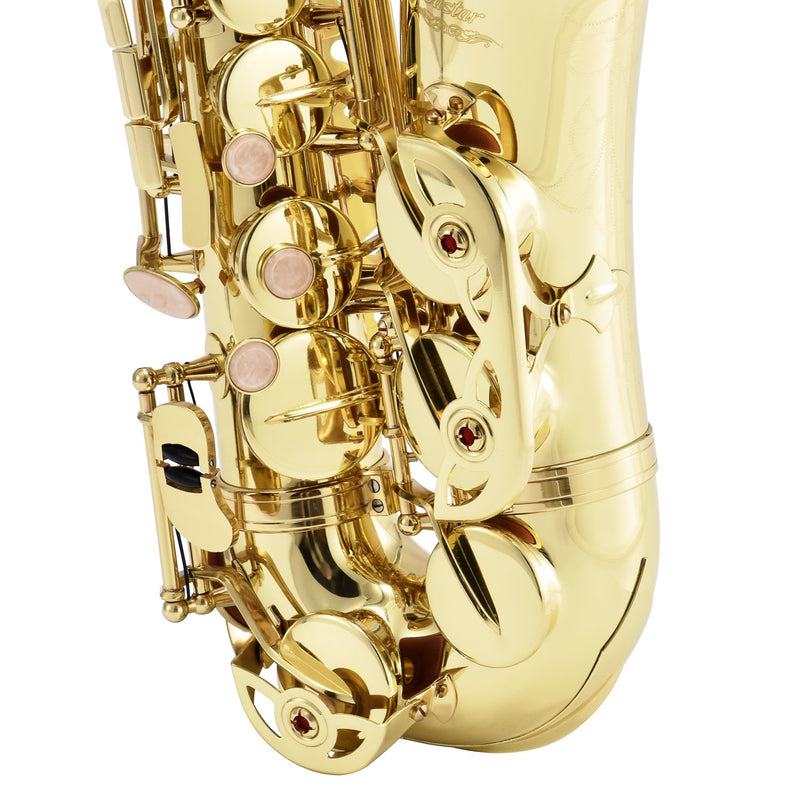 Eastar As Ⅱ E Flat Lacquer Alto Saxophone For Beginnerstudent Gold Sa