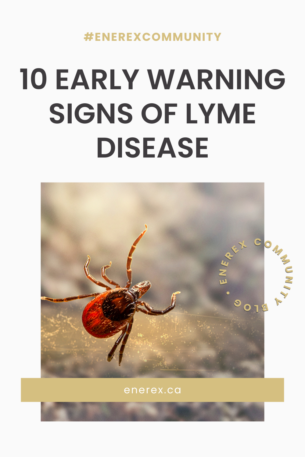 Dont Ignore These 10 Early Warning Signs Of Lyme Disease Enerex