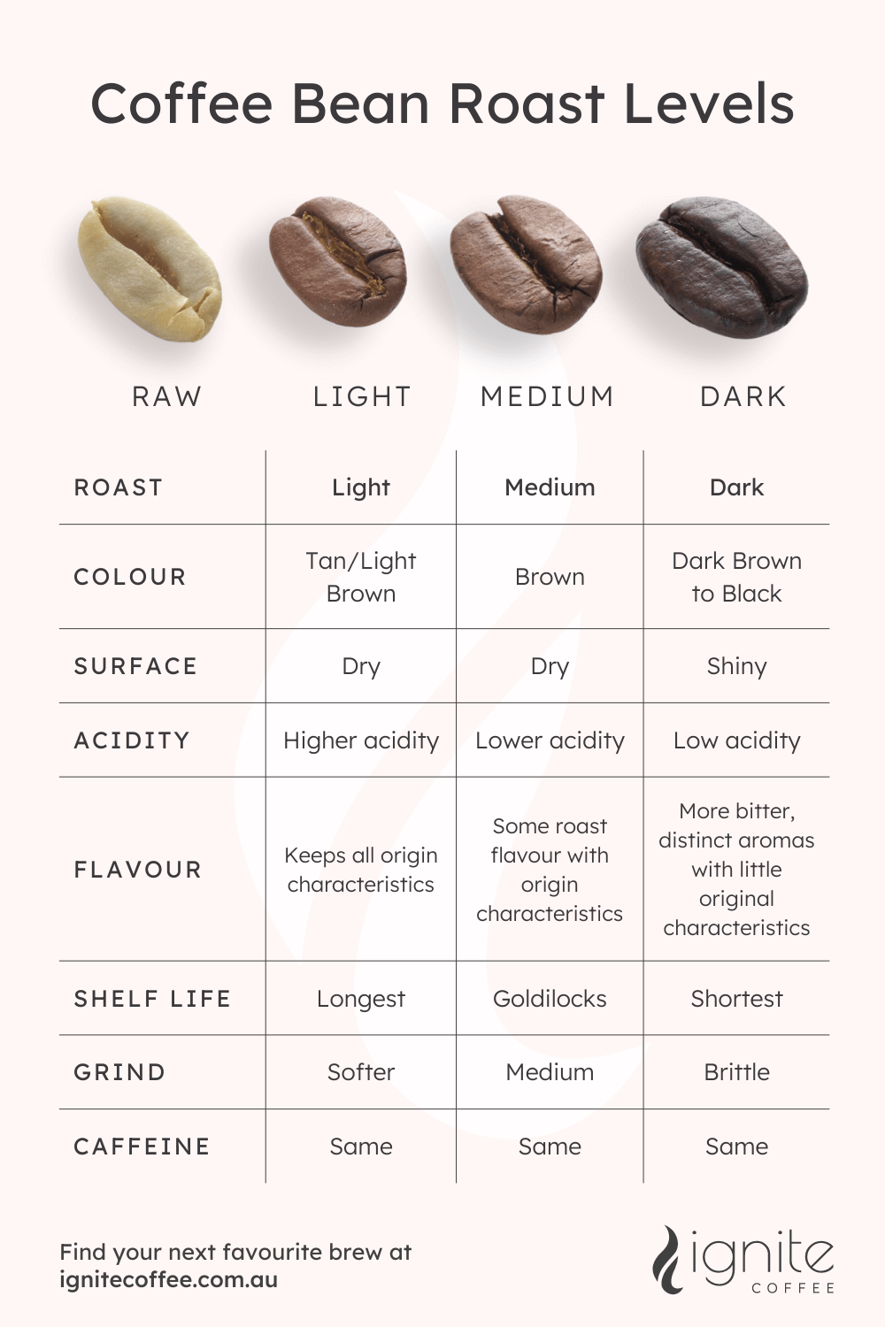 Difference Between Light Medium And Dark Roast Coffee Beans Ignite