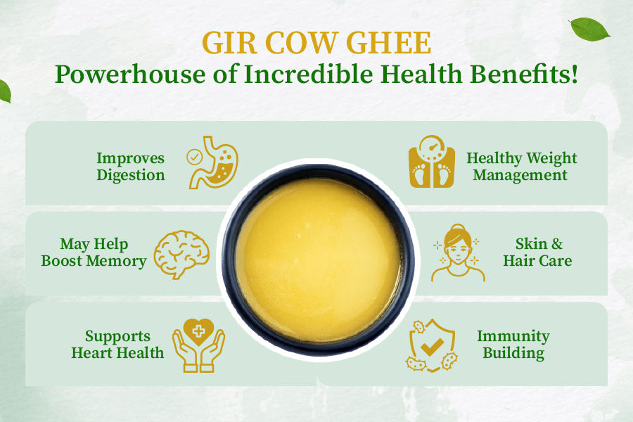 Gir Cow Ghee Top 5 Nutritional Benefits Organic Gyaan