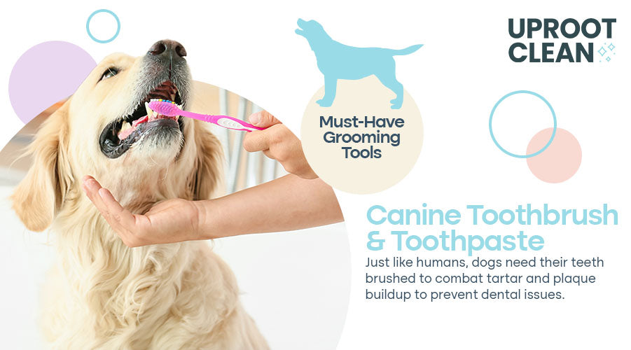 The Ultimate Dog Grooming Style Guide Uproot Clean