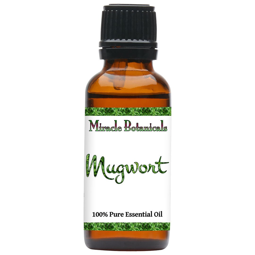 Mugwort Essential Oil Artemisia Vulgaris Miracle Botanicals