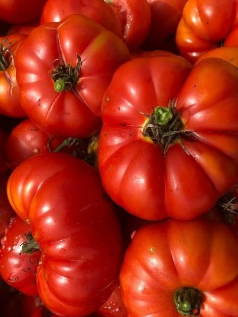 Semence Tomate Marmande Bio Semences Nouveau Paysan