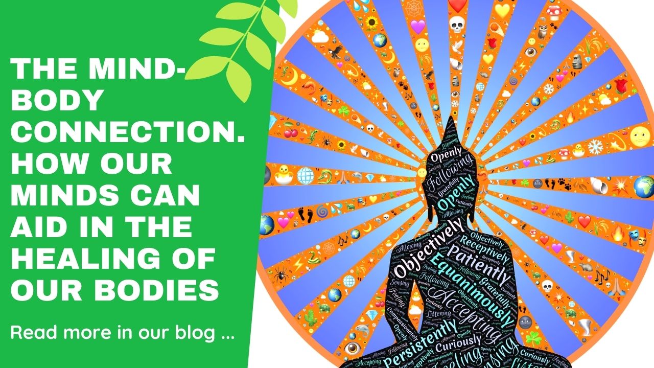 The Mind Body Connection How Our Minds Can Aid In The Healing Of Our