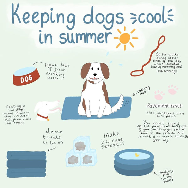 Keeping Dogs Cool