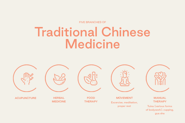 The Ultimate Guide To Traditional Chinese Medicine