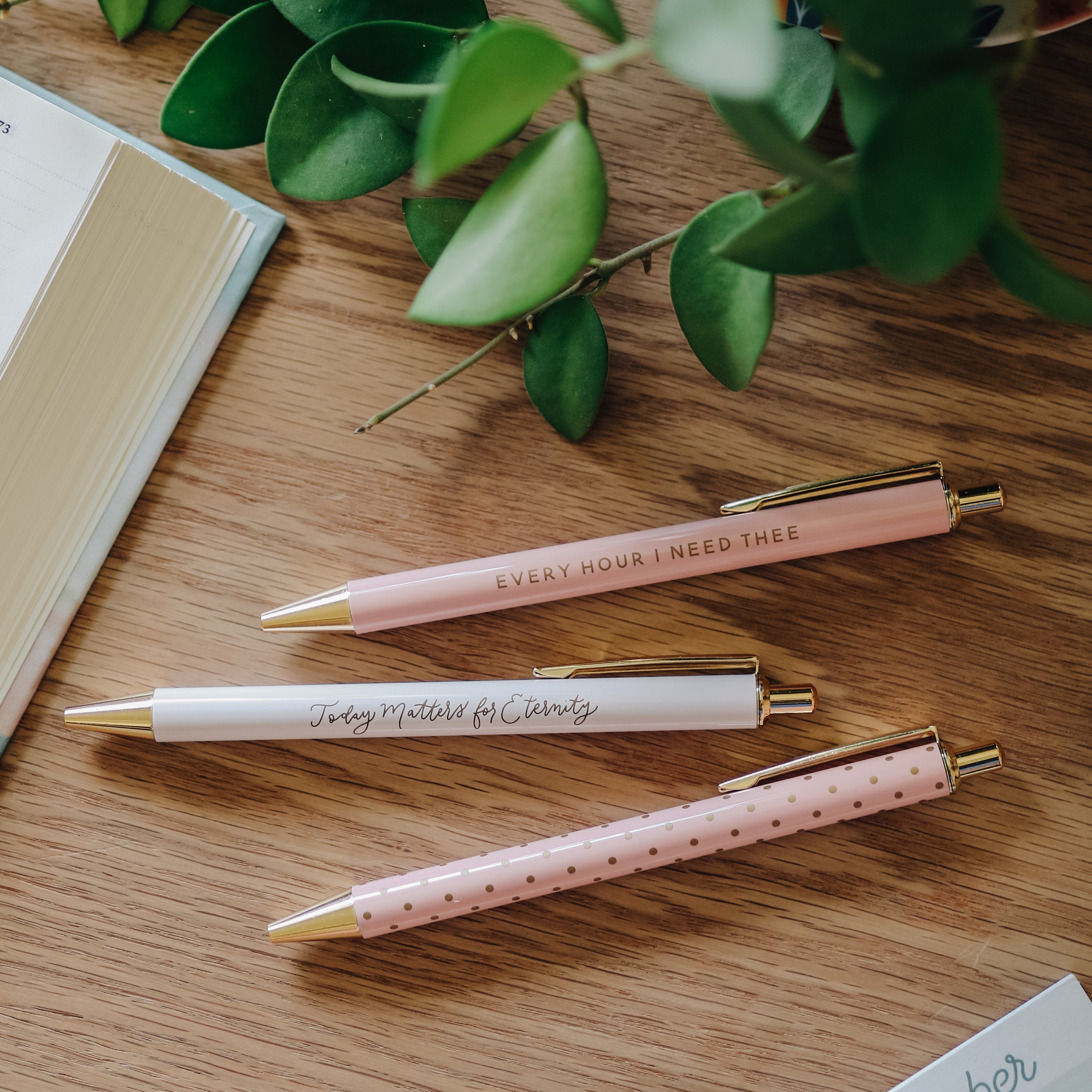 Blush Pen Set The Daily Grace Co Reviews On Judgeme