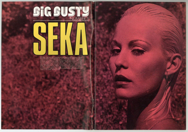 Big Busty Seka Seka Seka 1980 Abc Publications 48pg All Seka M21413